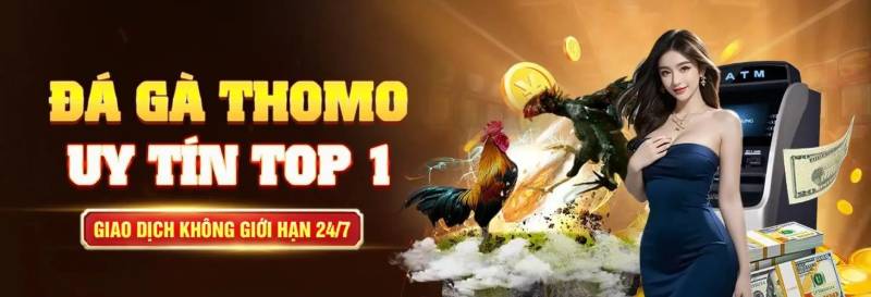 SV388 🎖️ link vào trực tiếp đá gà thomo sv388 casino Việt Nam 2 SV388 Là Gì? – Tổng Quan Về Nhà Cái Đá Gà Số 1