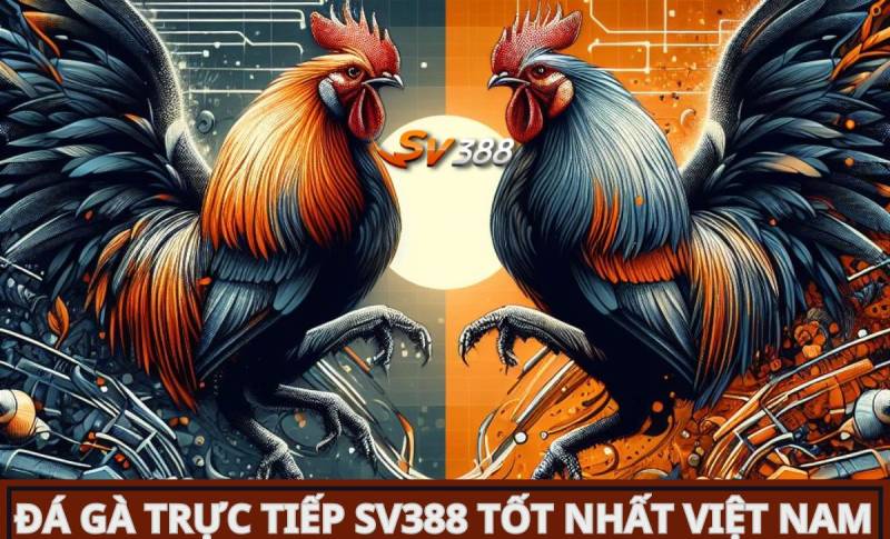 SV388 🎖️ link vào trực tiếp đá gà thomo sv388 casino Việt Nam 3 da ga sv388